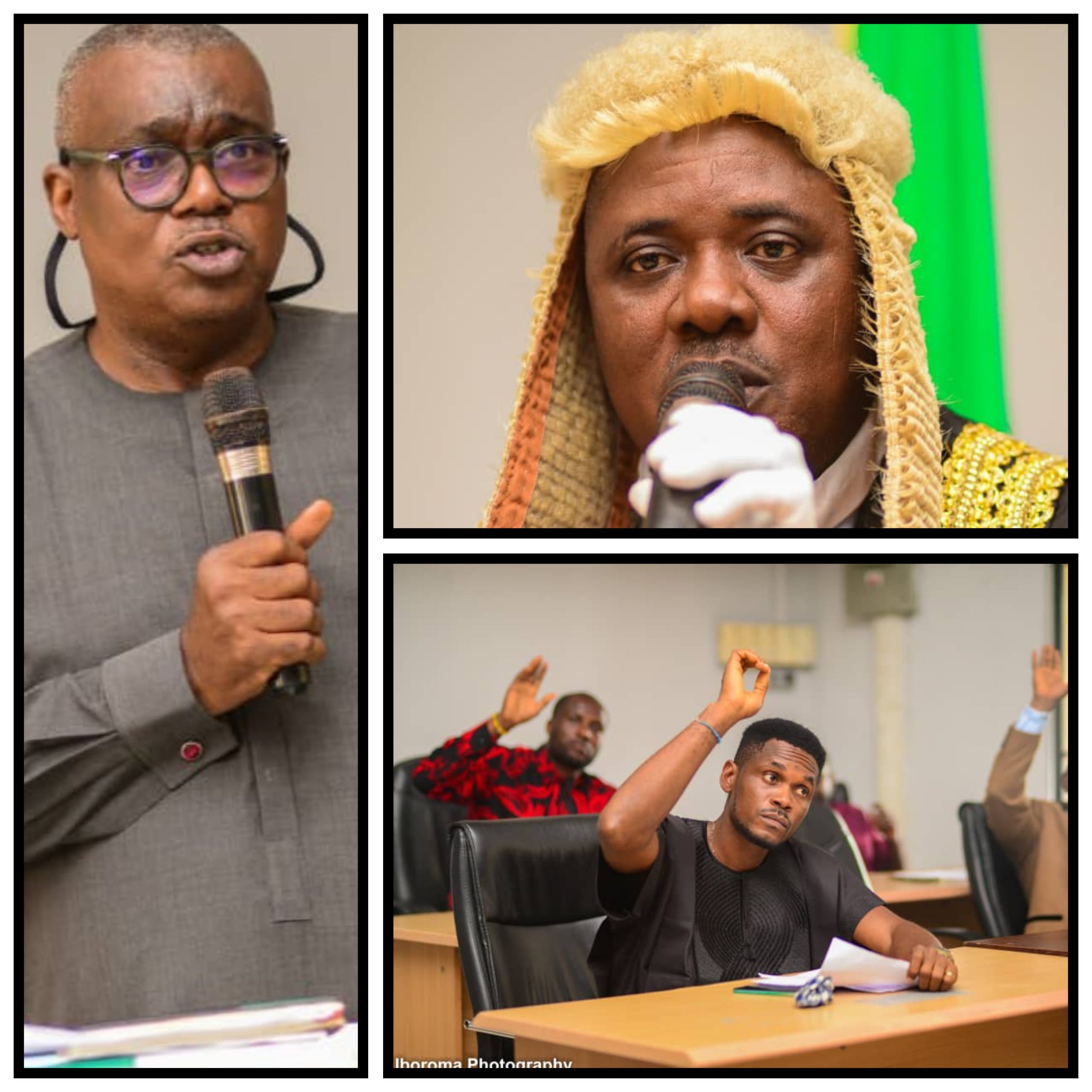 DELGA Chair: We'll All Work Closely - Phc Telegraph